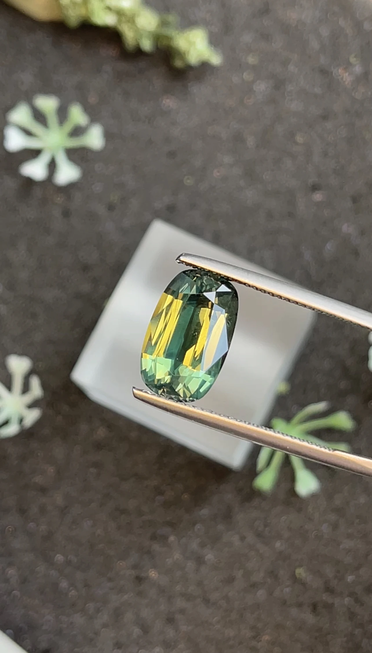 Color Change Green Alexandrite 5.11ct (AL0114)