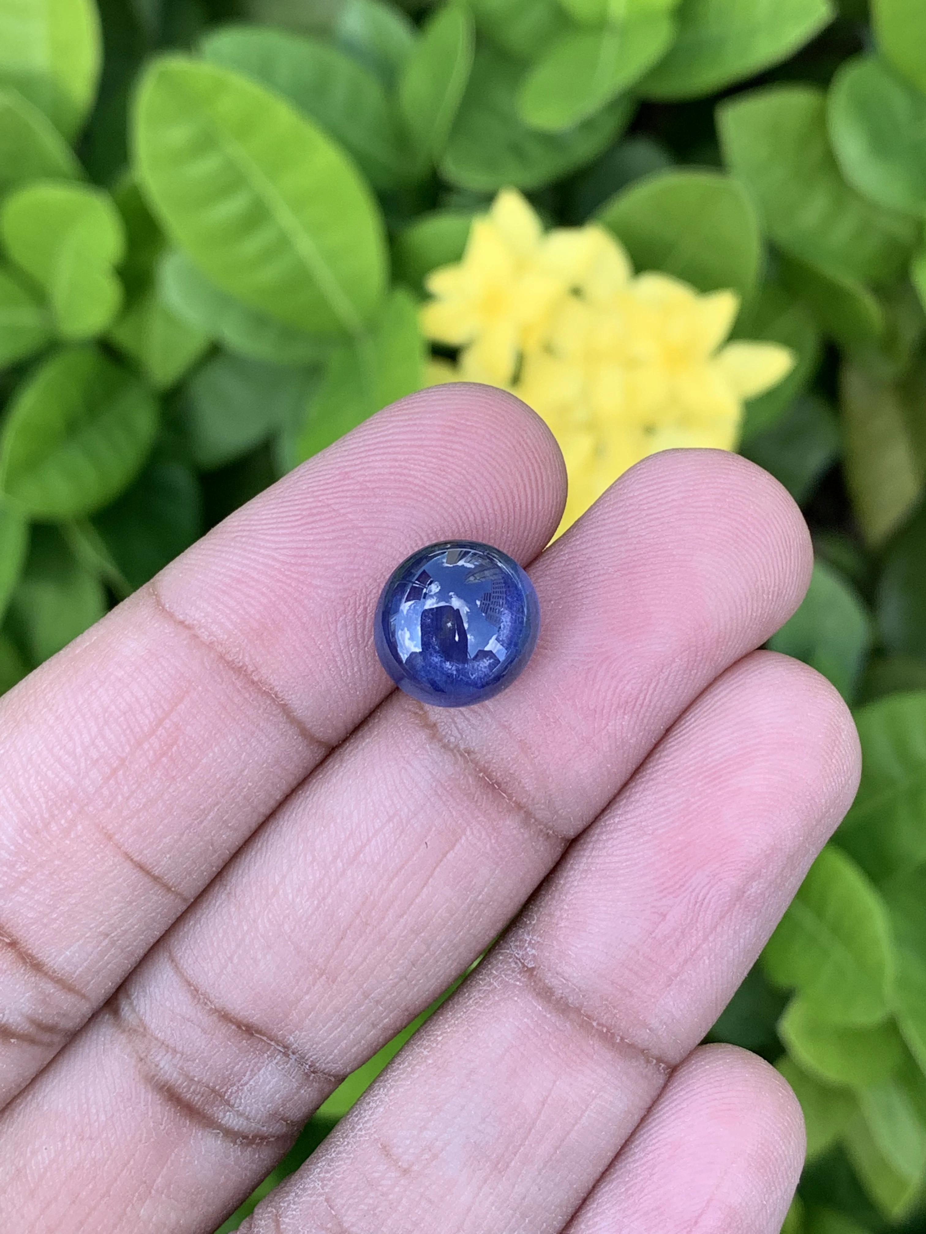 Blue Star Sapphire 8.20ct (BR0085)