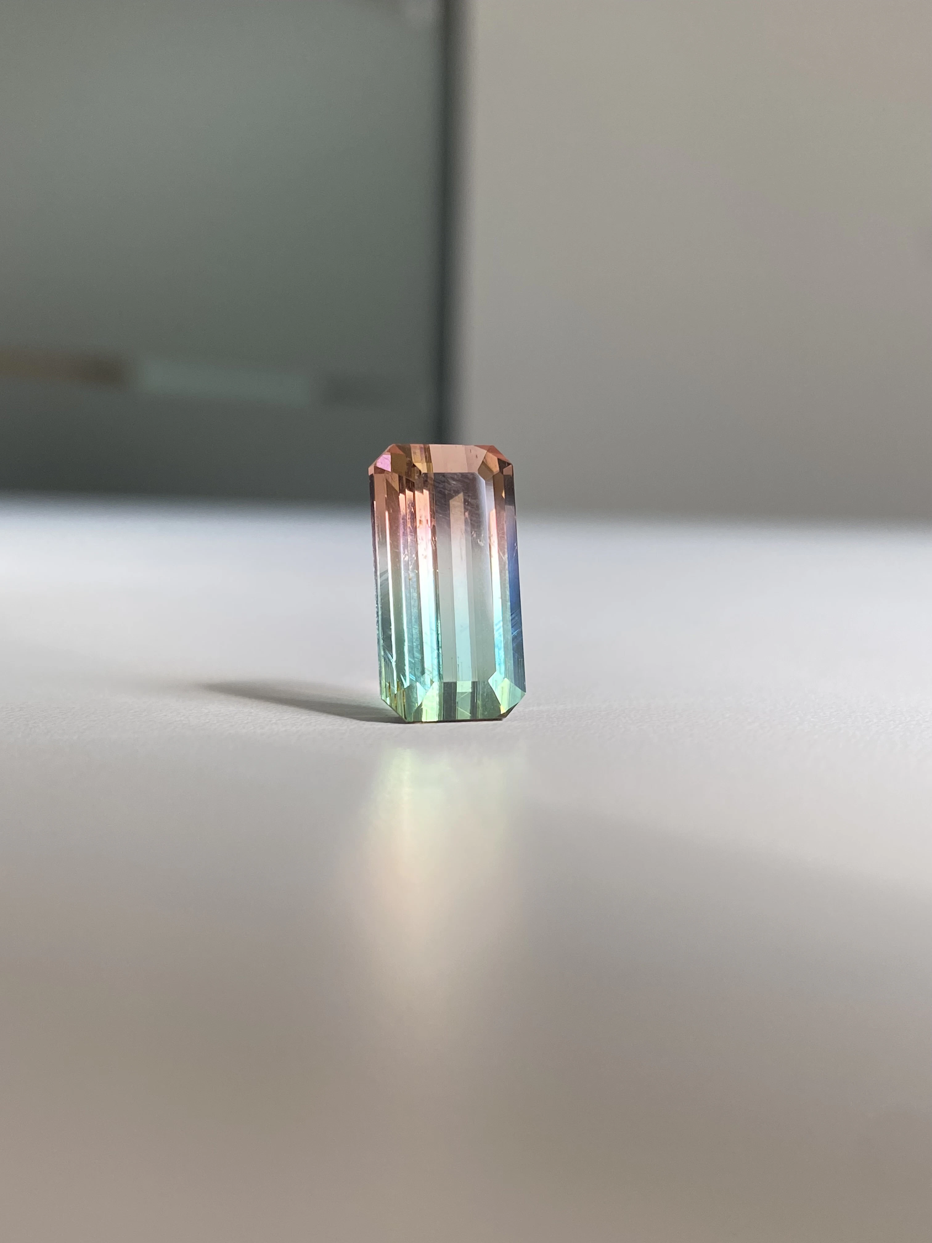 Watermelon Bi Colour Tourmaline 8.51ct (BT0204)