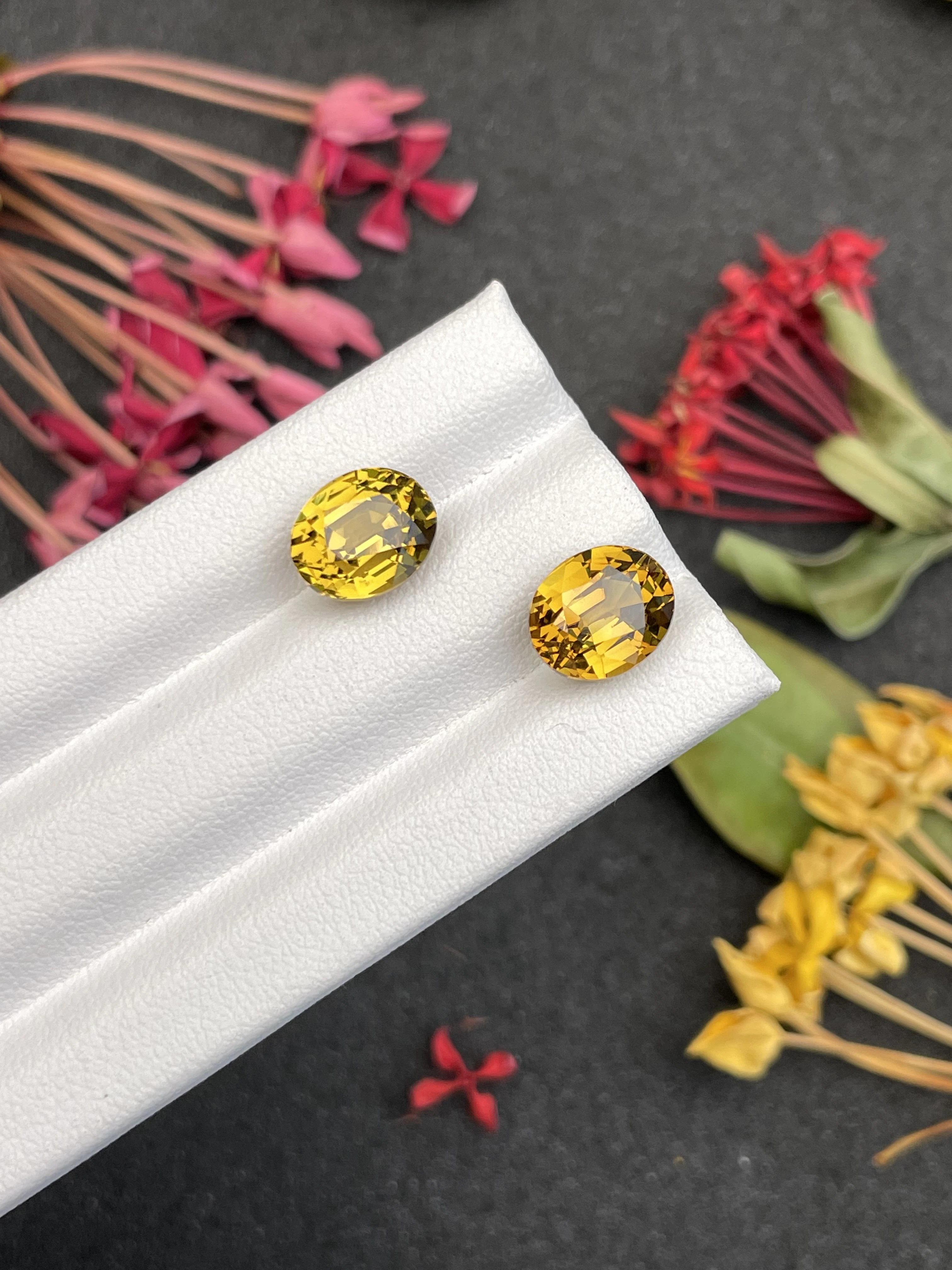 Yellow Grossular Garnet 8.79ct - 10x8mm Pair (MI0012)