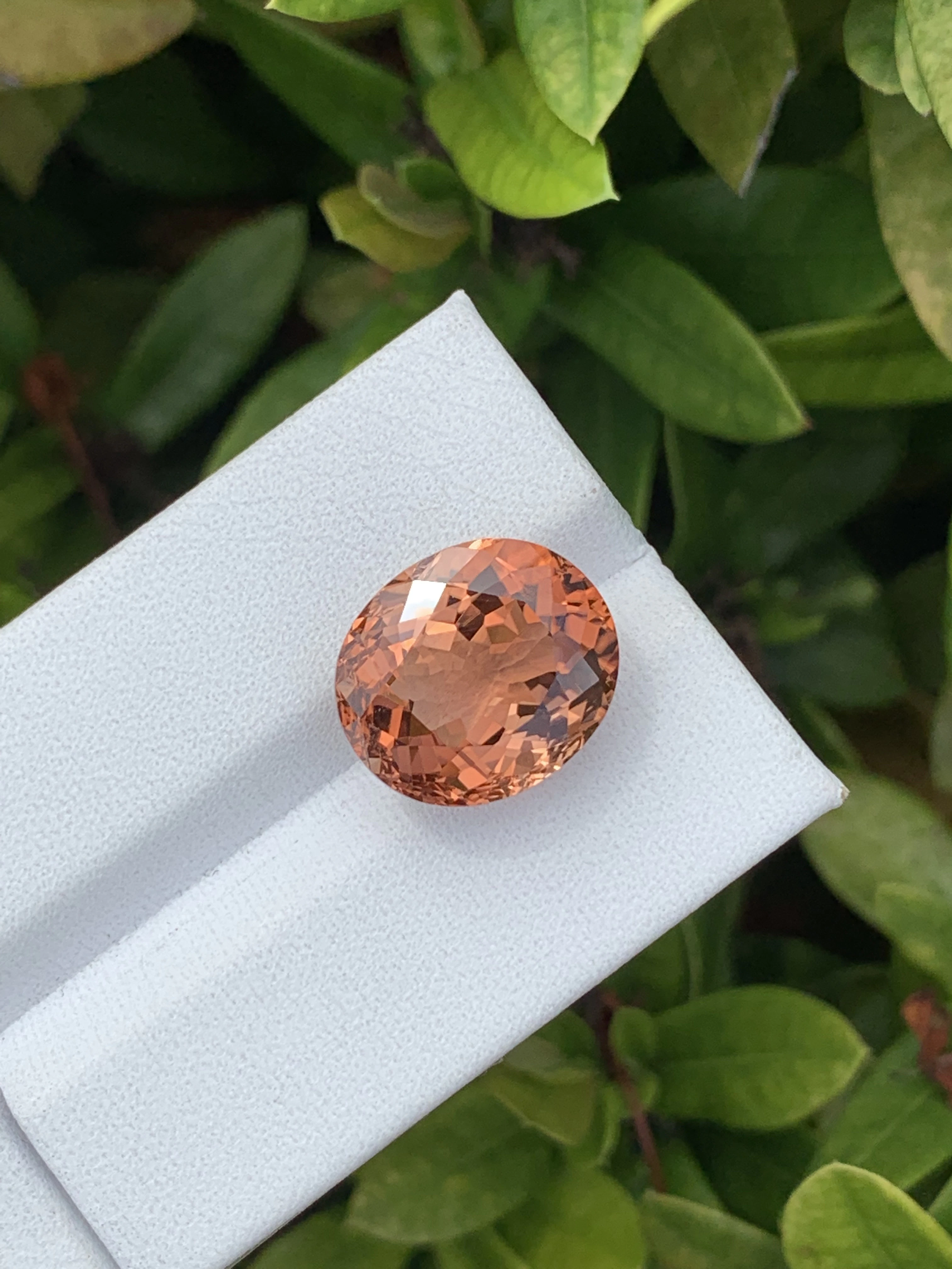 Orange Tourmaline 9.68ct - 14x12mm (PT0663)