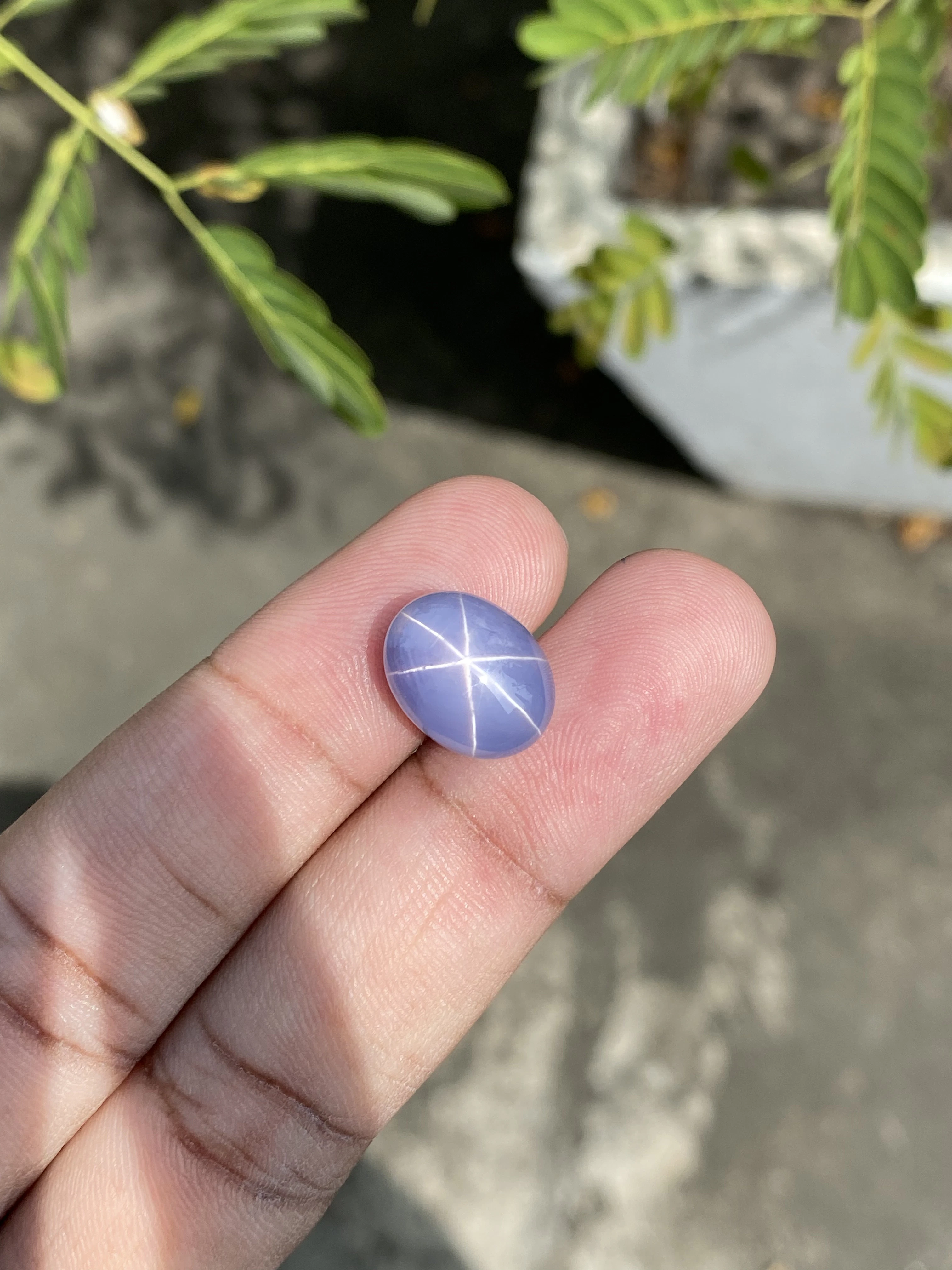 Star Sapphire 14.47ct (SS0017)