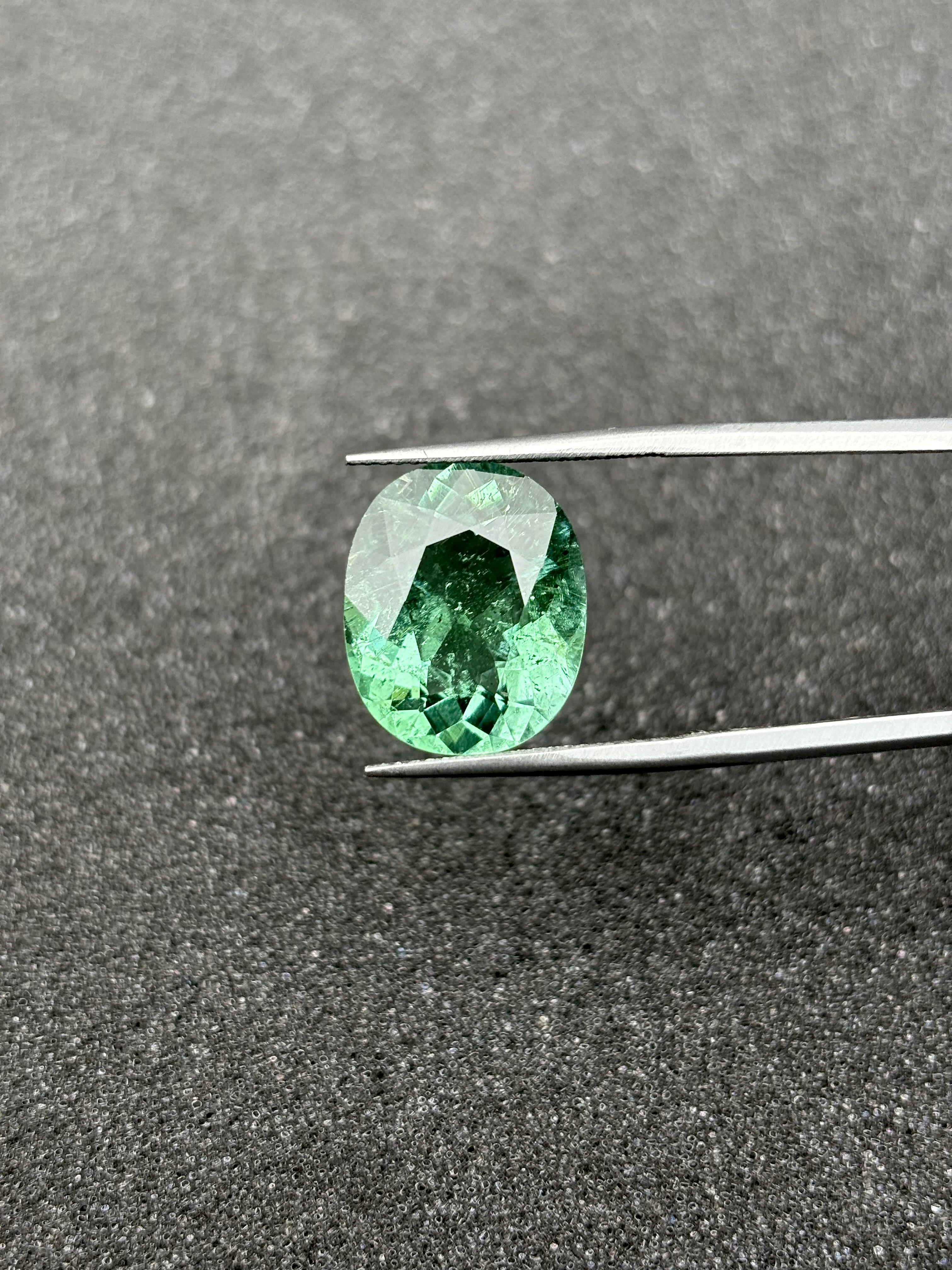 Green Tourmaline 10.44ct (TG0107)