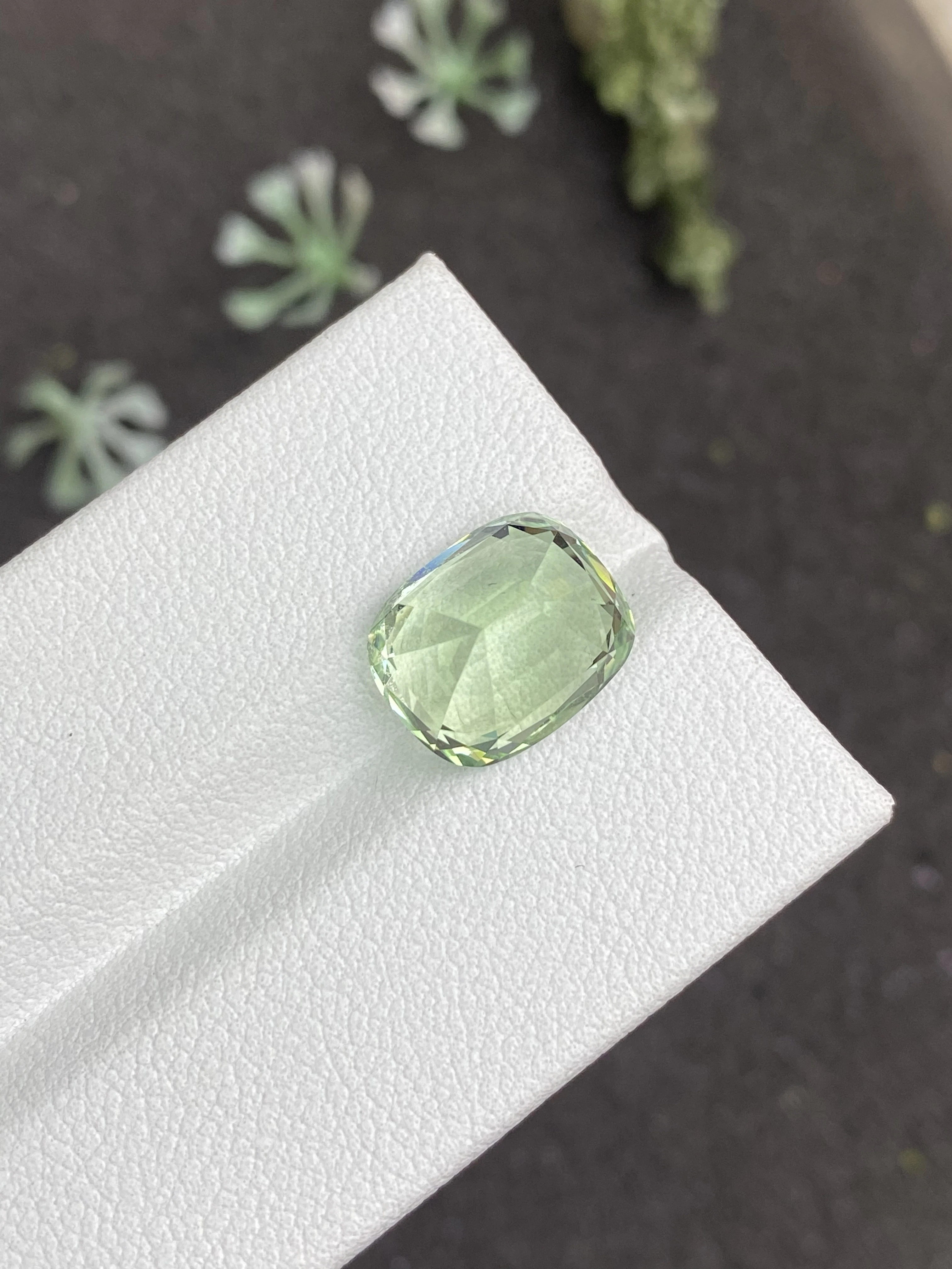 Green Tourmaline 5.42ct - 11x9mm (TG1582)