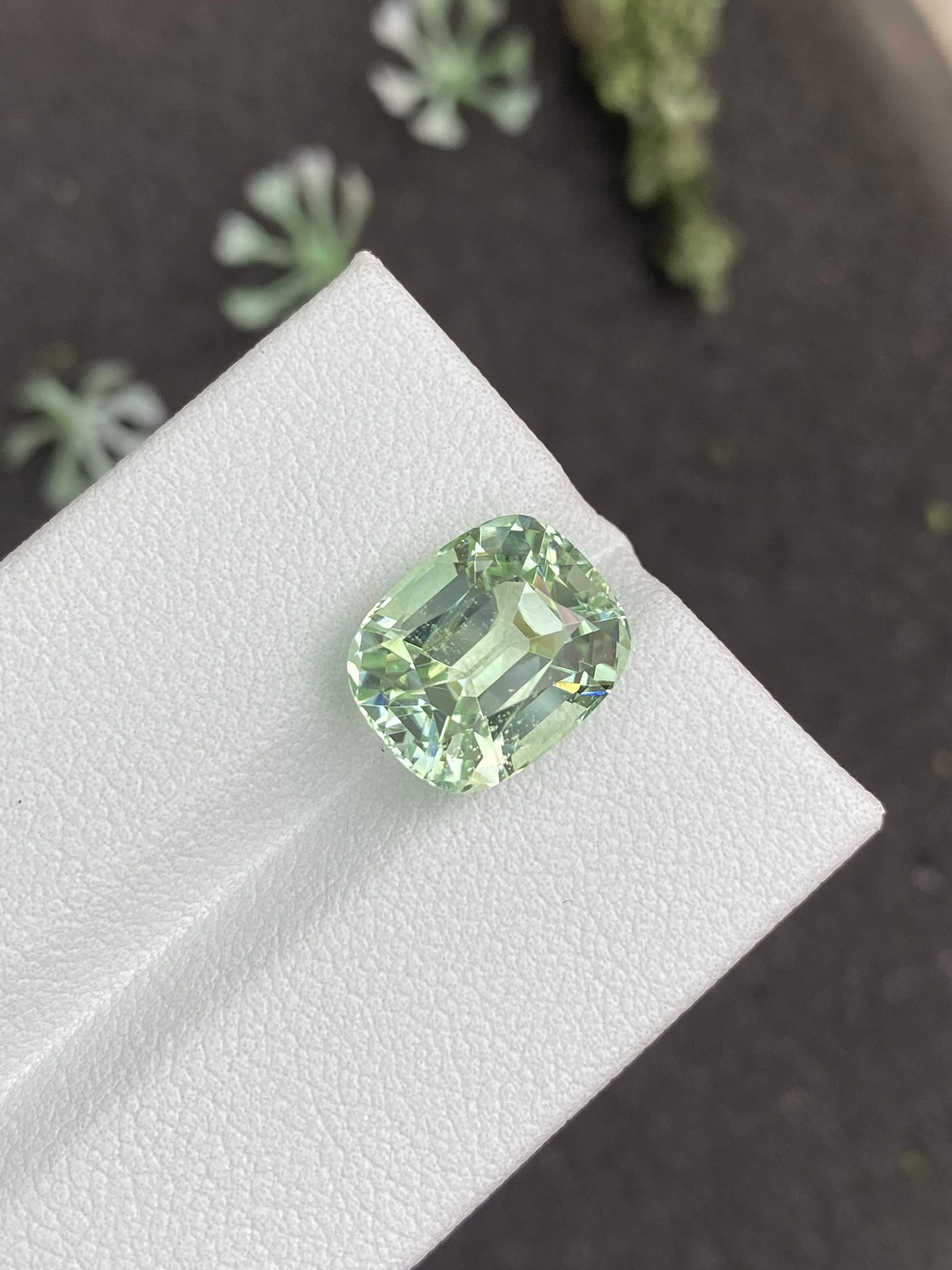 Green Tourmaline 5.42ct - 11x9mm (TG1582)