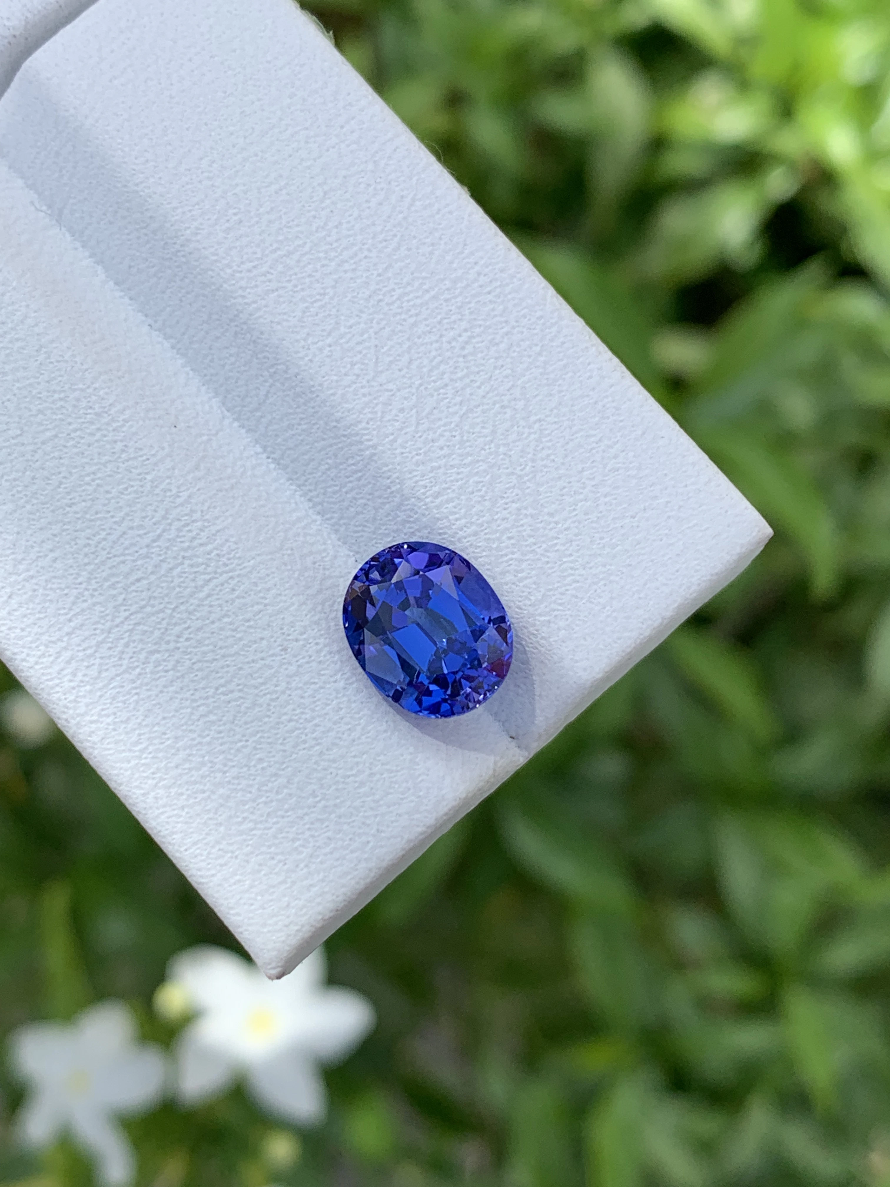 AA Blue Tanzanite 2.89ct - 9x7mm (TN0369)