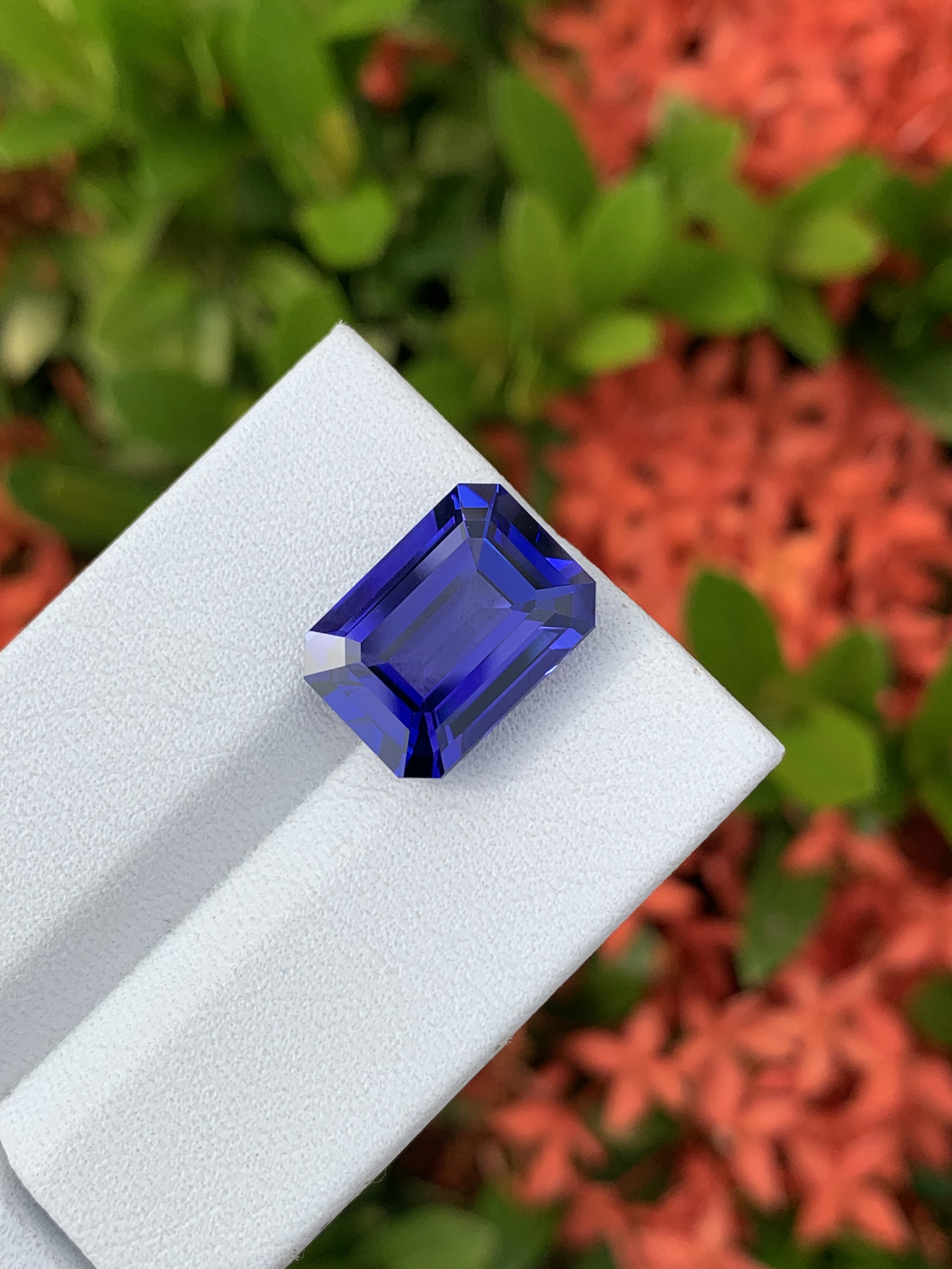 AAA+ Blue Tanzanite 8.05ct (TN0419)