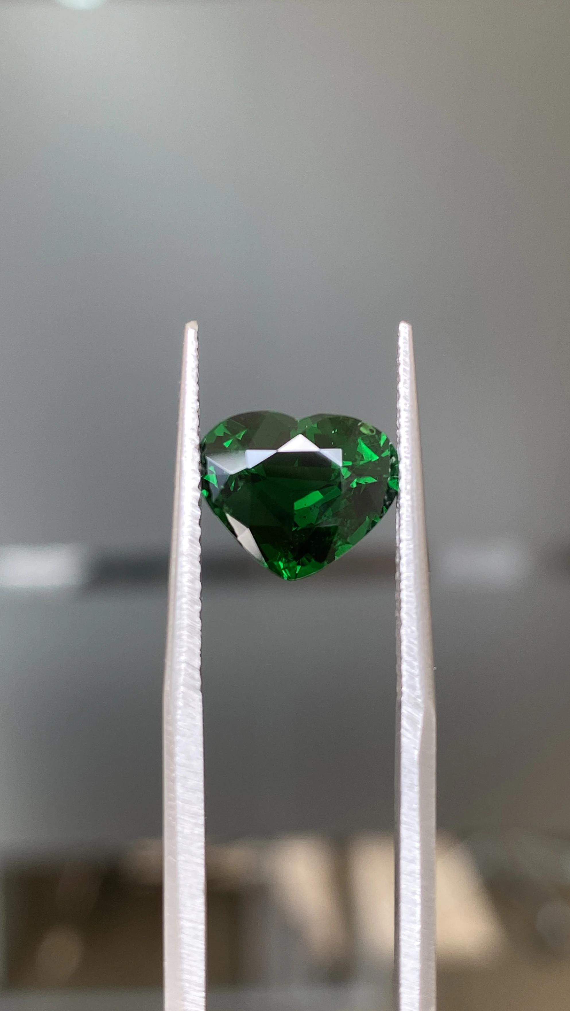 Green Tsavorite 2.73ct - 10x8mm (TS0015)