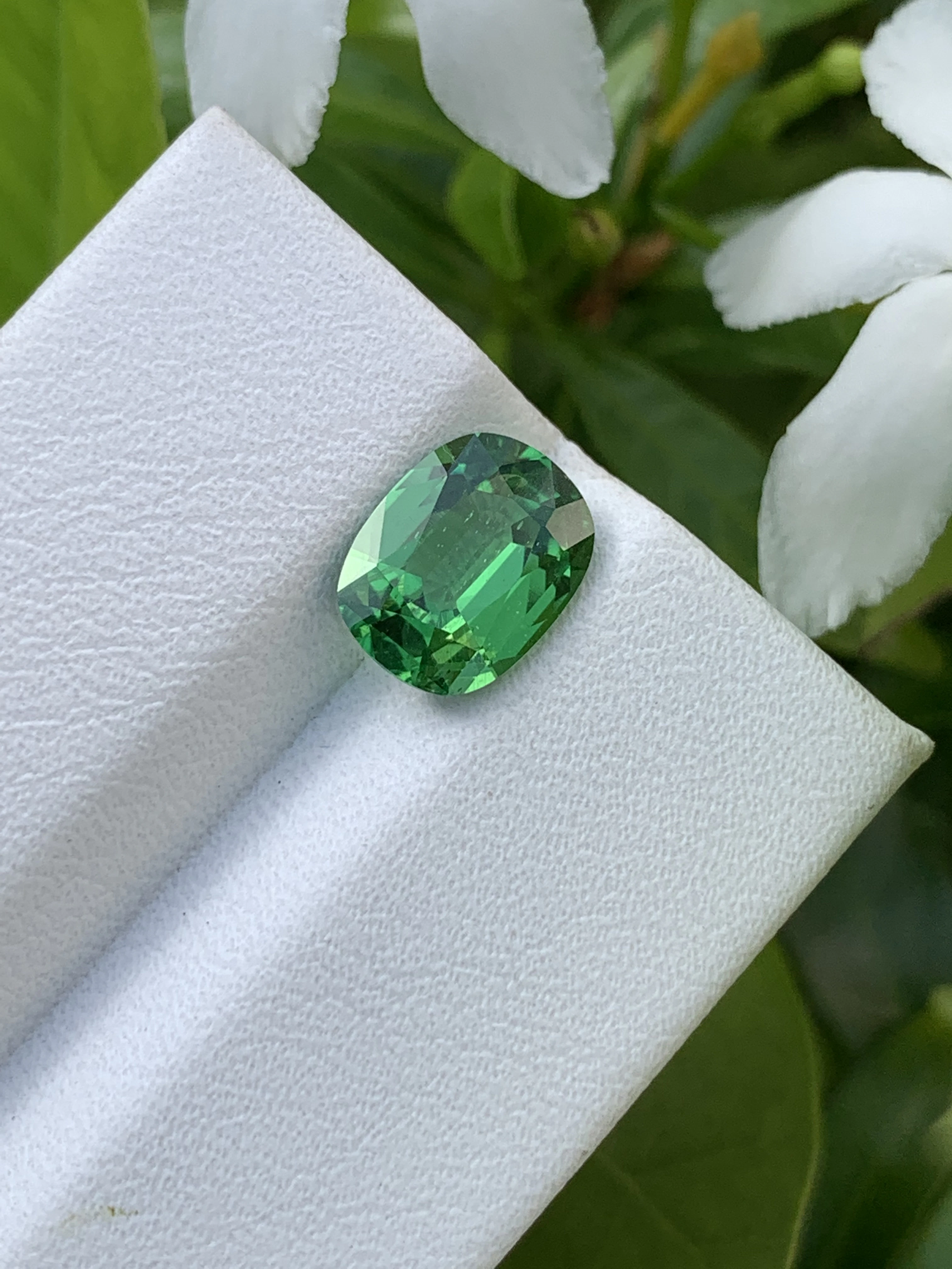 Green Tsavorite 1.94ct - 9x7mm (TS0066)