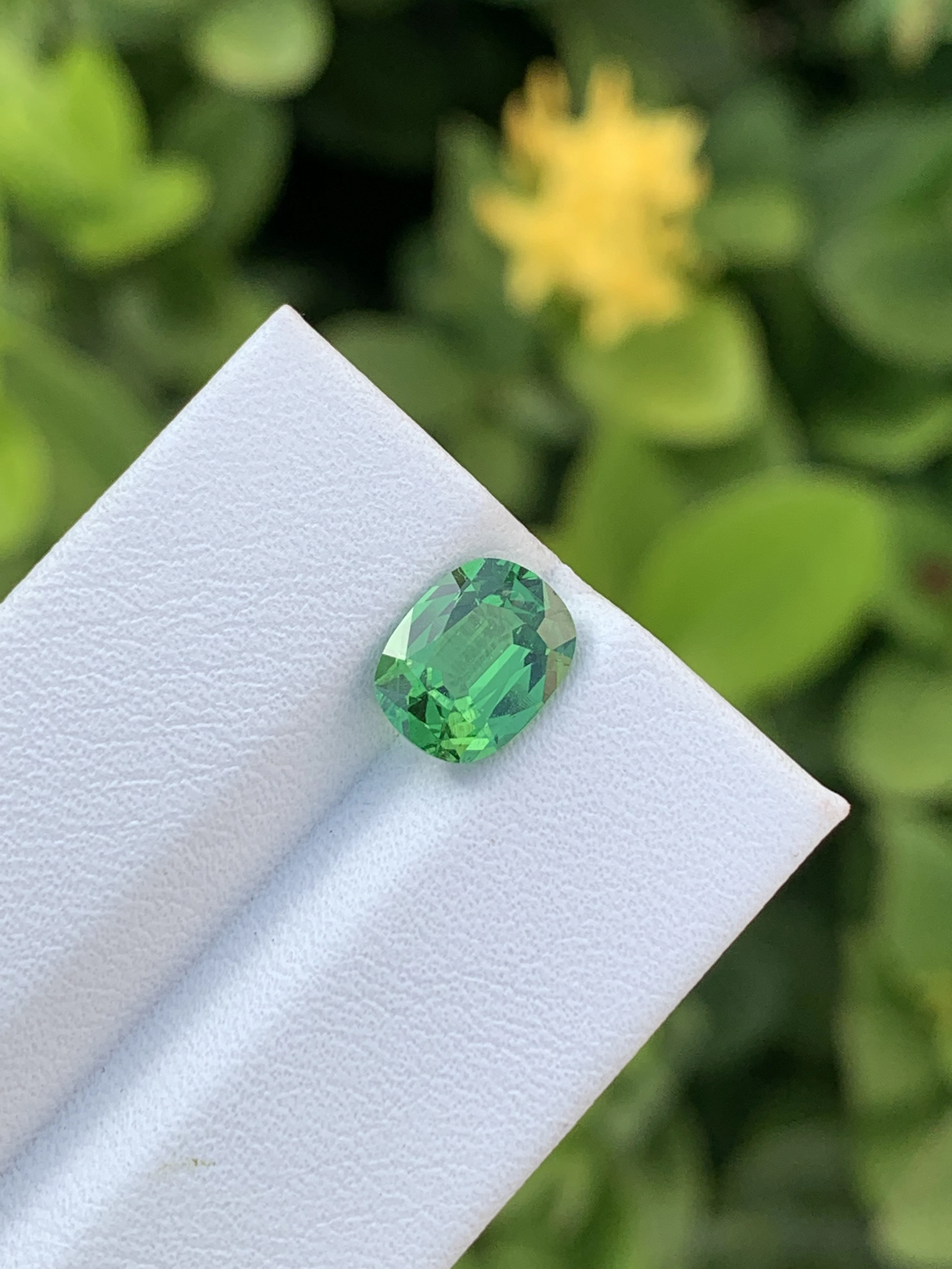 Green Tsavorite 1.94ct - 9x7mm (TS0066)